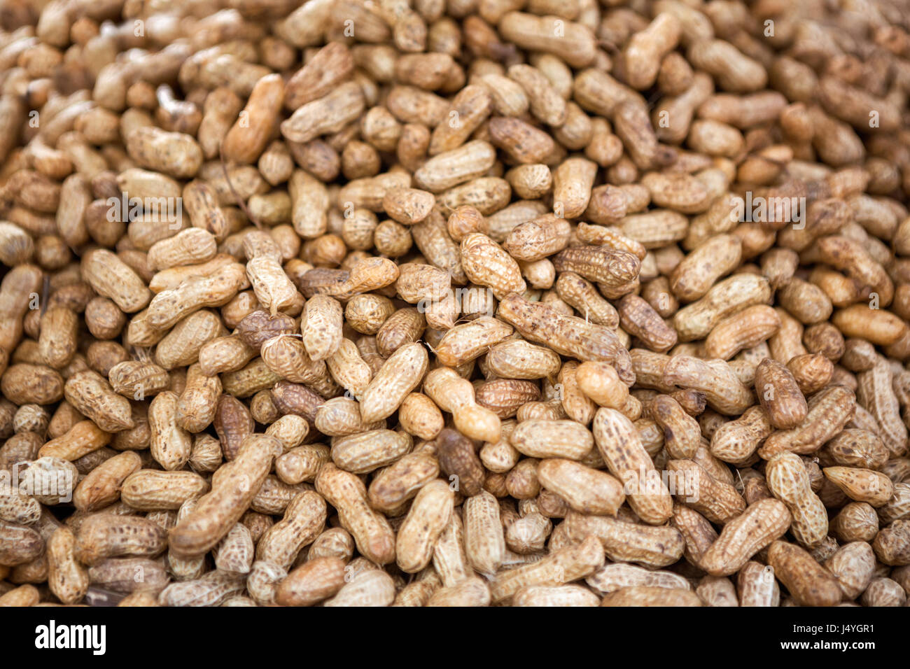 background of peanuts in shells Stock Photo - Alamy