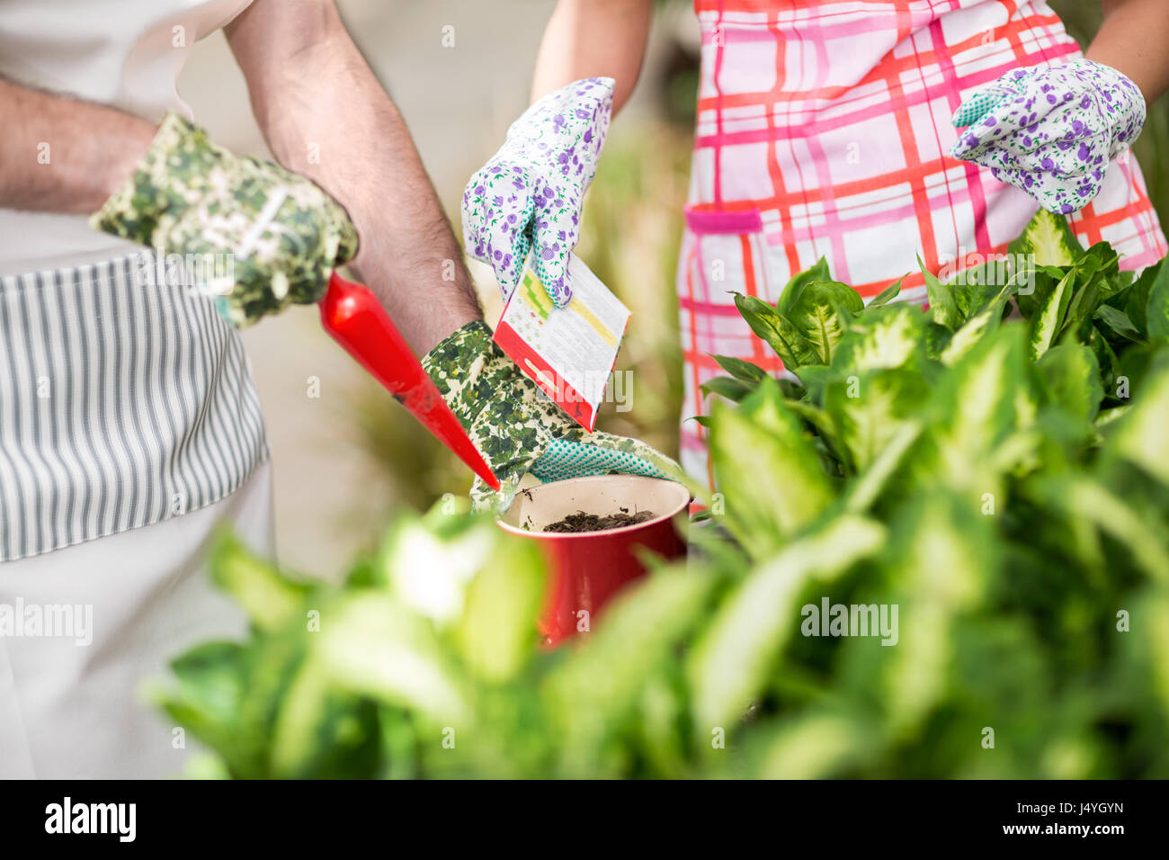 Seed sowing greenhouse hi-res stock photography and images - Alamy