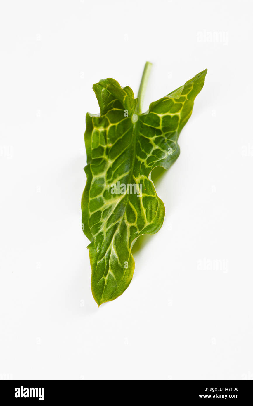 Background patterns structures Cut Out Stock Images & Pictures - Alamy