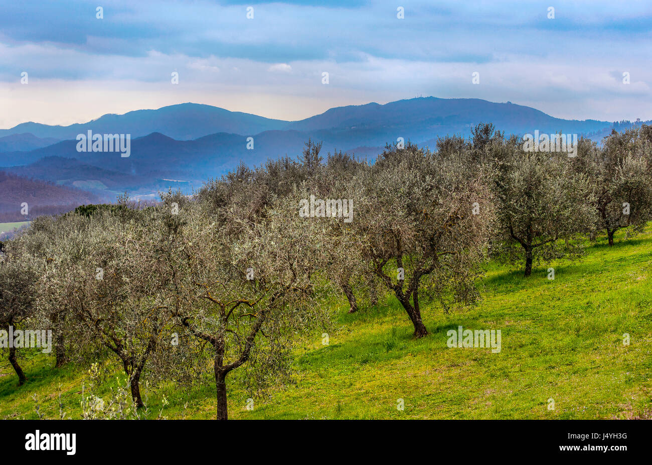 Mugello hi-res stock photography and images - Alamy