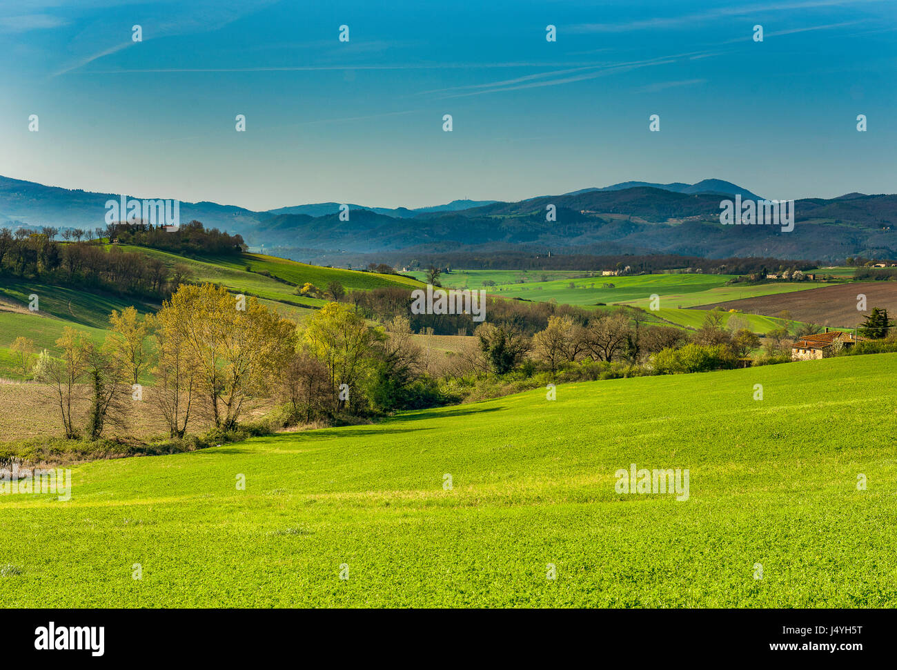 Mugello hi-res stock photography and images - Alamy