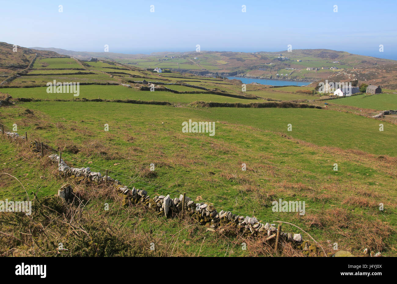 Landscape view over farmland, Cape Clear Island, County Cork, Ireland ...