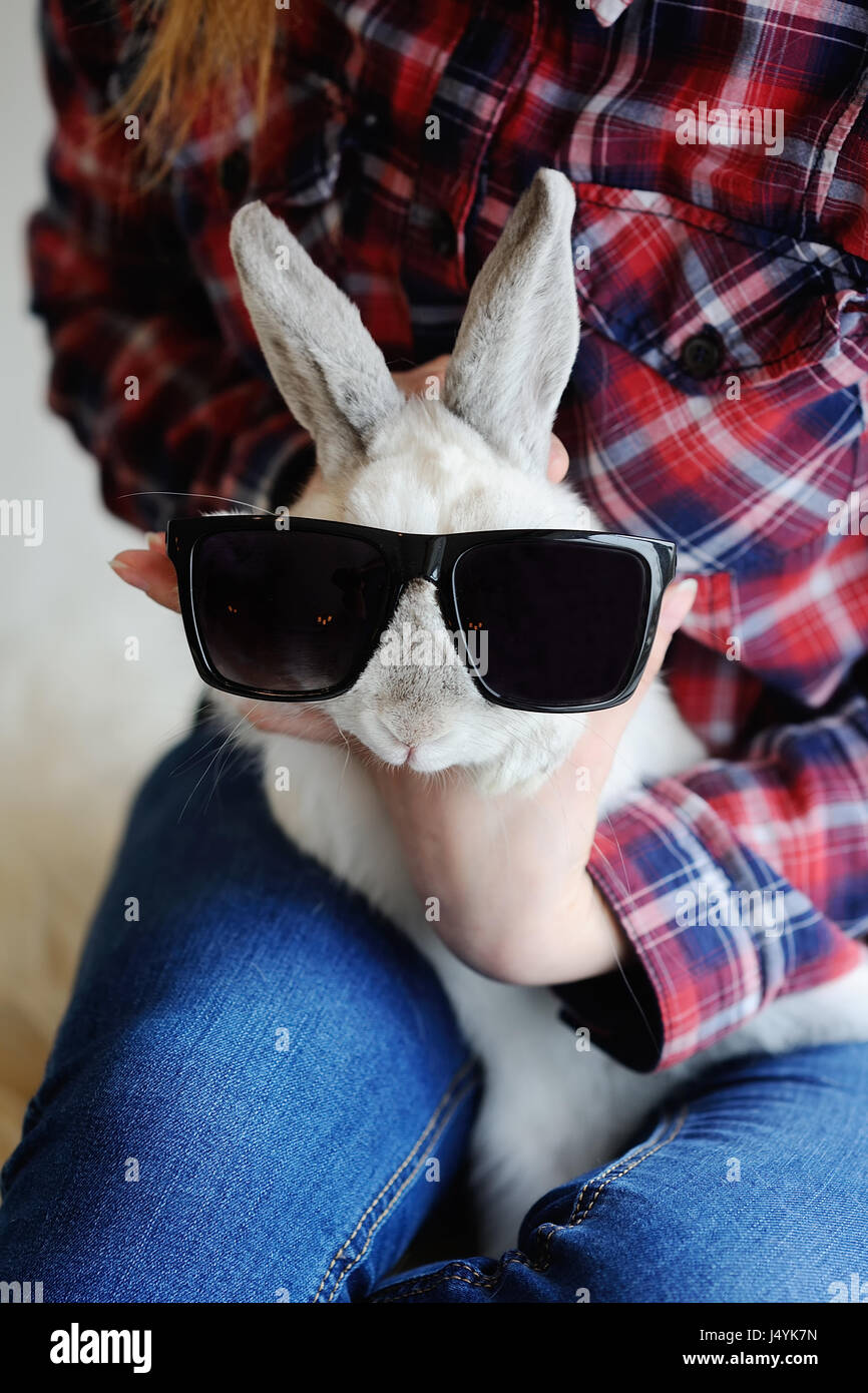 Bunny with sunglasses hi-res stock photography and images - Alamy