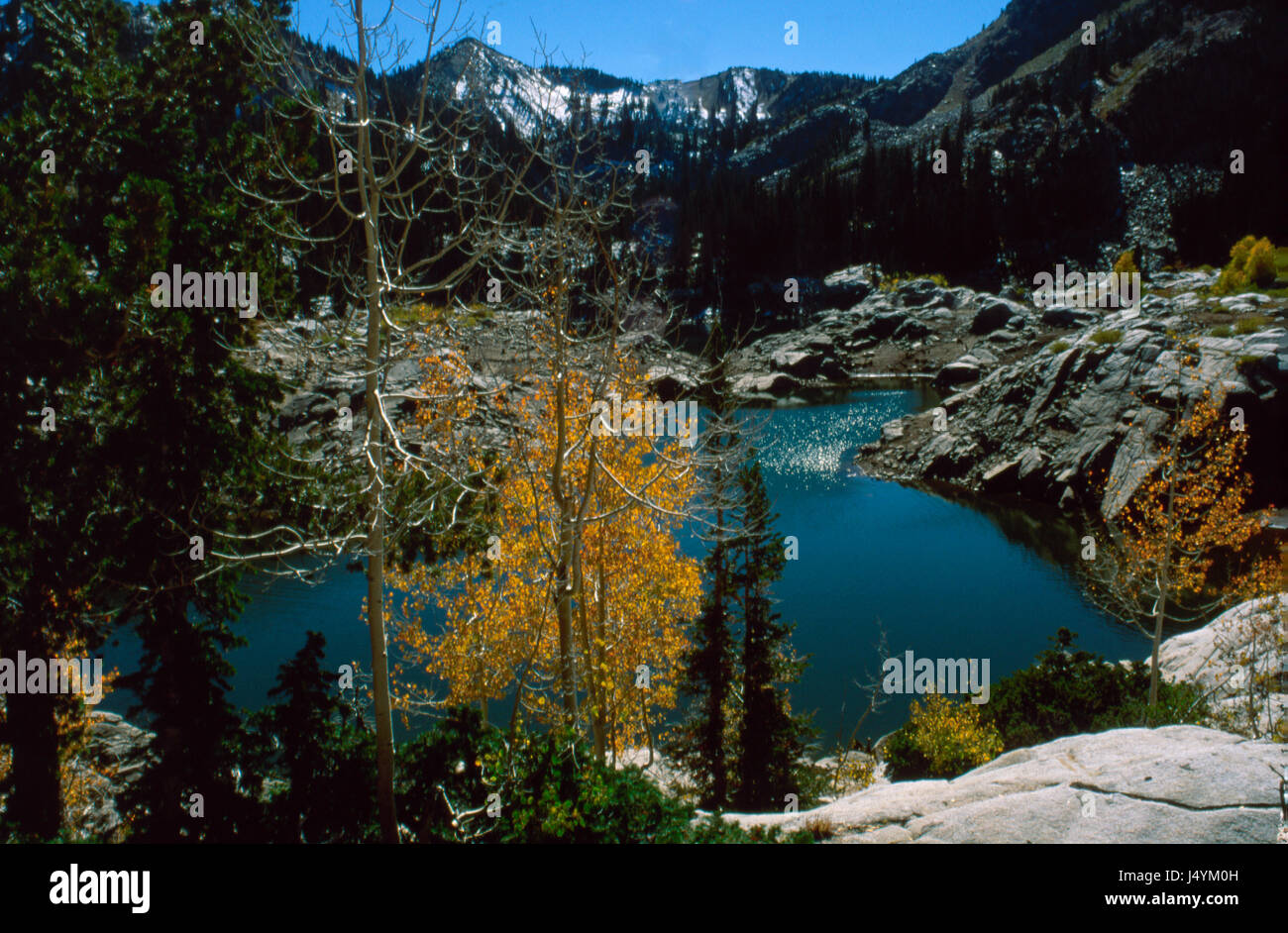 Wasatch-Cache National Forest, Utah 9 12 Stock Photo - Alamy