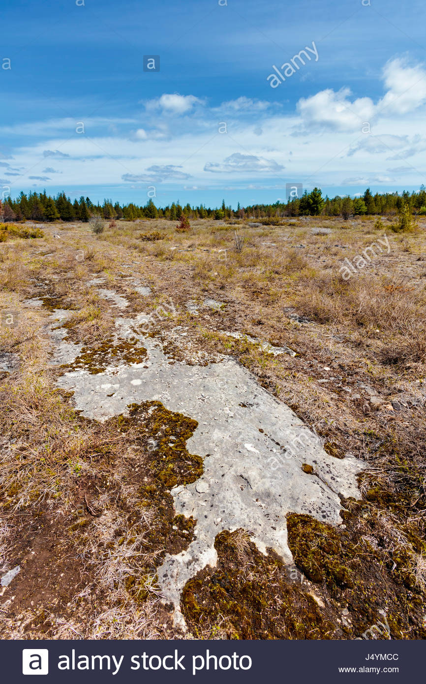 Provincial Park Of Ontario High Resolution Stock Photography and Images ...