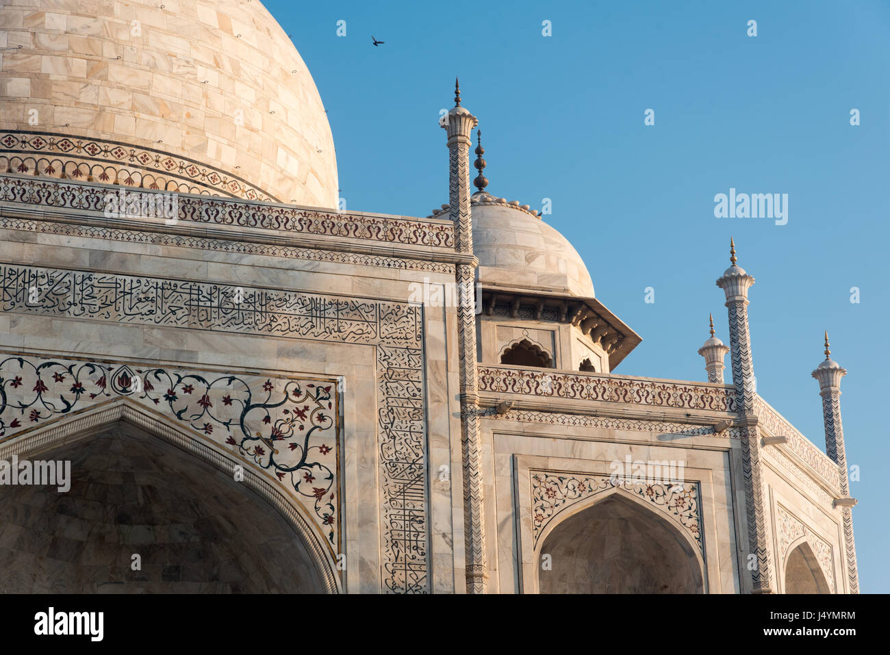 Birds flying over the Taj Mahal in Agra, India Stock Photo - Alamy