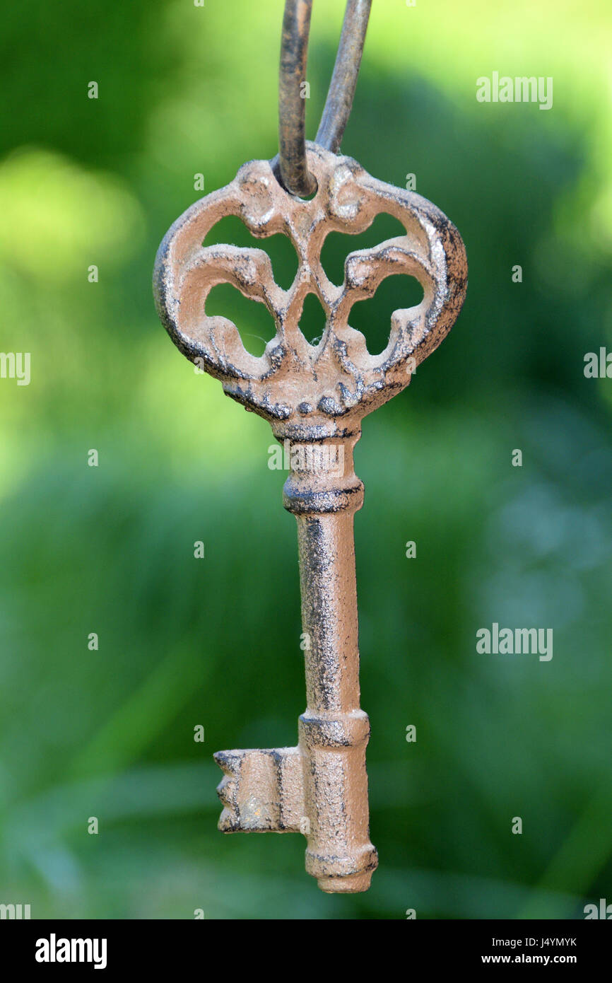 Ancient key on green background Stock Photo - Alamy