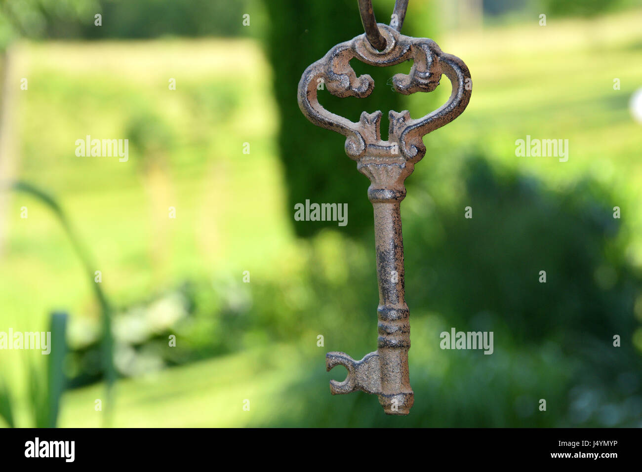 Ancient key on green background Stock Photo - Alamy