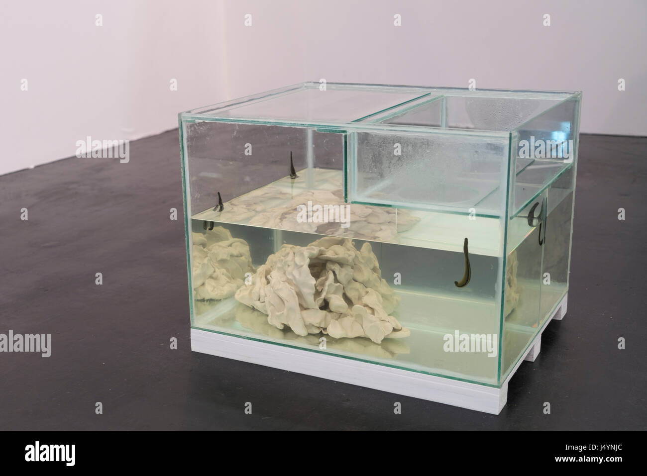 Bruno botella hi-res stock photography and images - Alamy