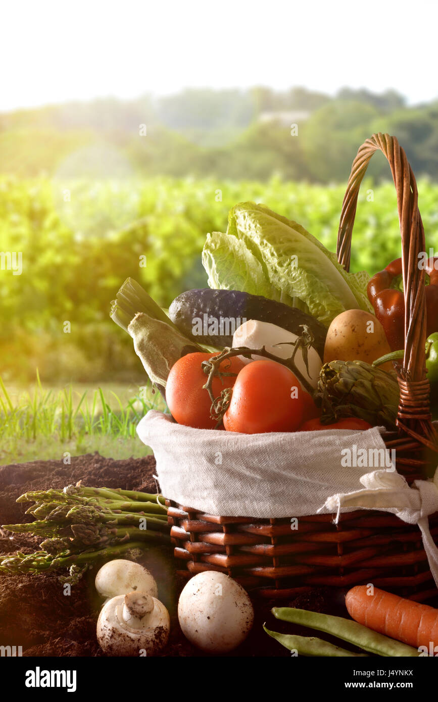 Onion soil basket hi-res stock photography and images - Alamy