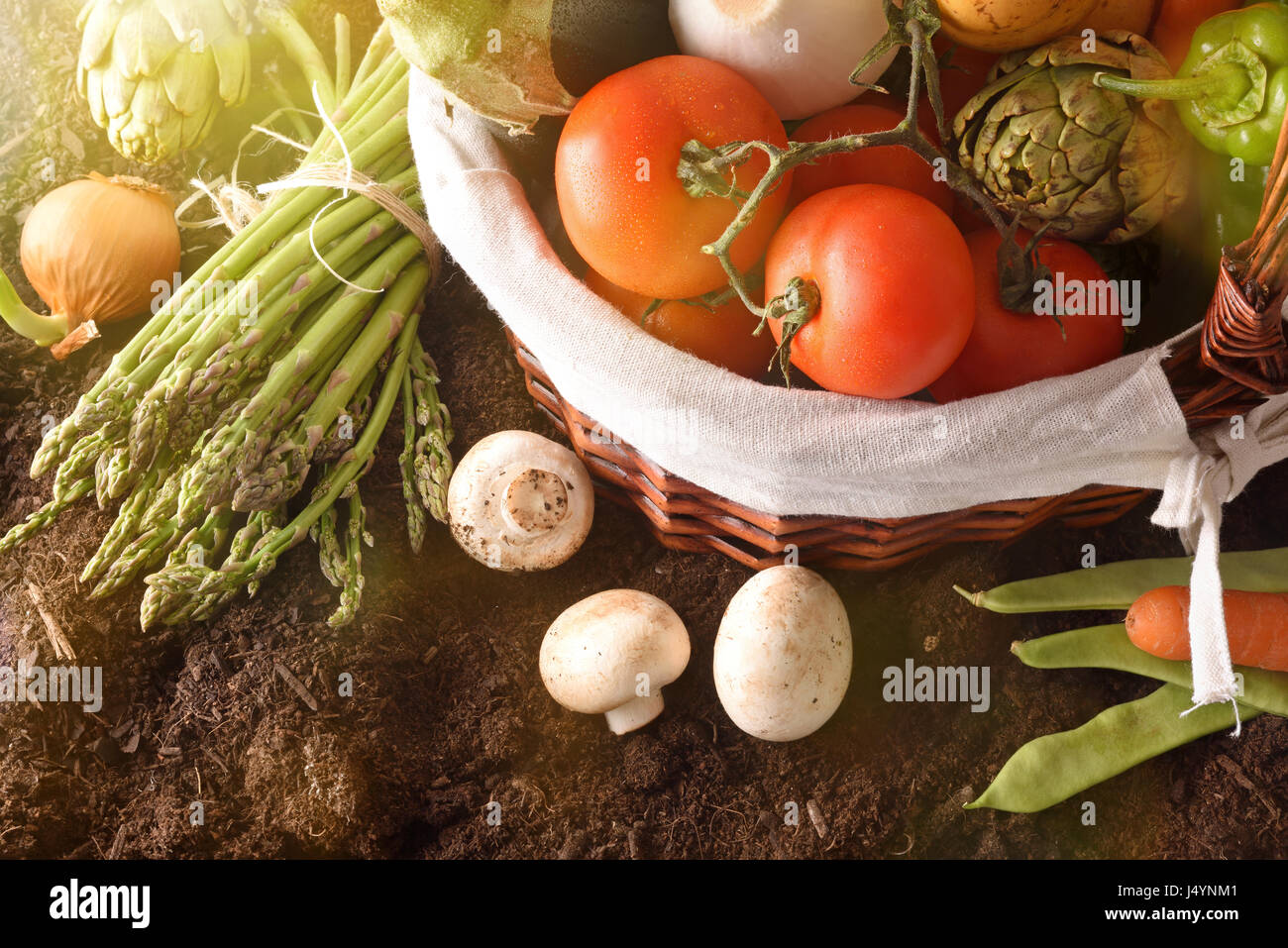 Vegetable soil basket hi-res stock photography and images - Alamy