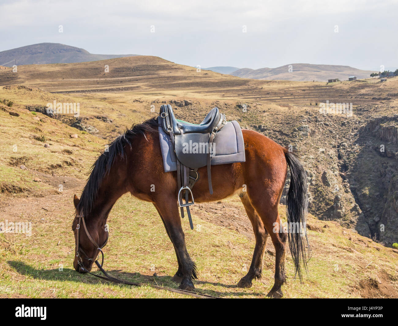 Basuto hi-res stock photography and images - Alamy