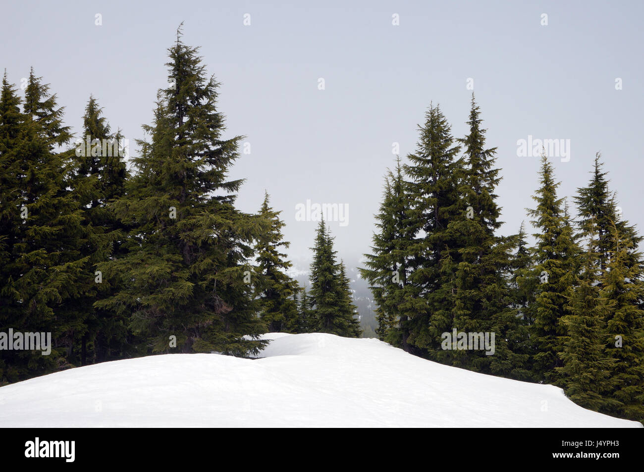 The ridge line hi-res stock photography and images - Alamy