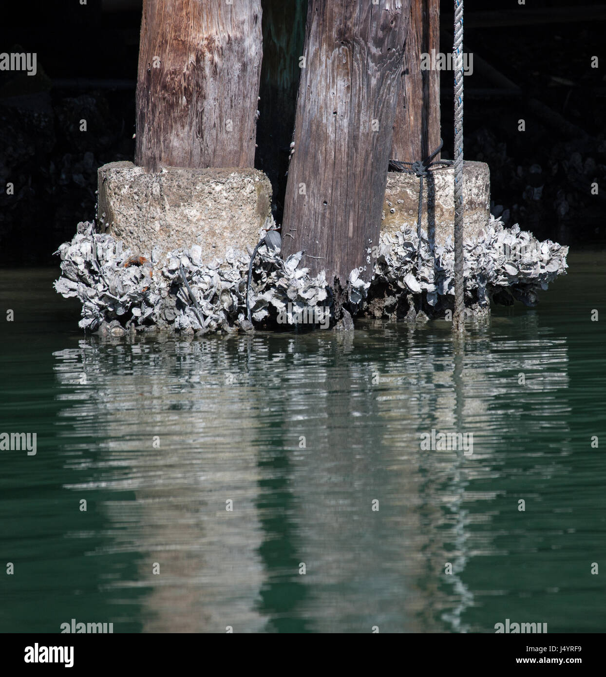 Dock pilings hi-res stock photography and images - Alamy