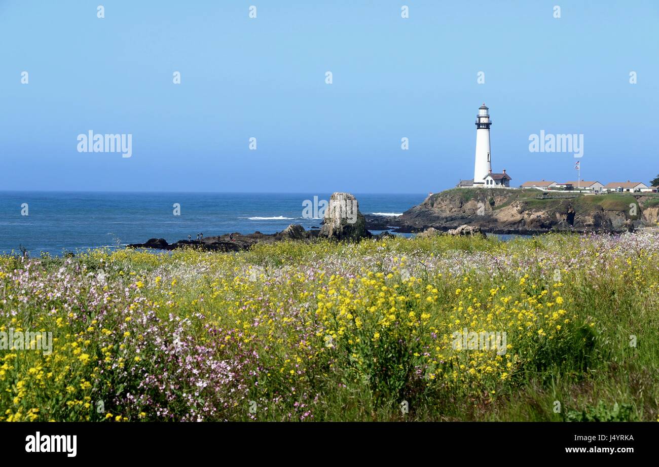 Pigeon Point Lighthouse, located on Highway 1, California Stock Photo ...