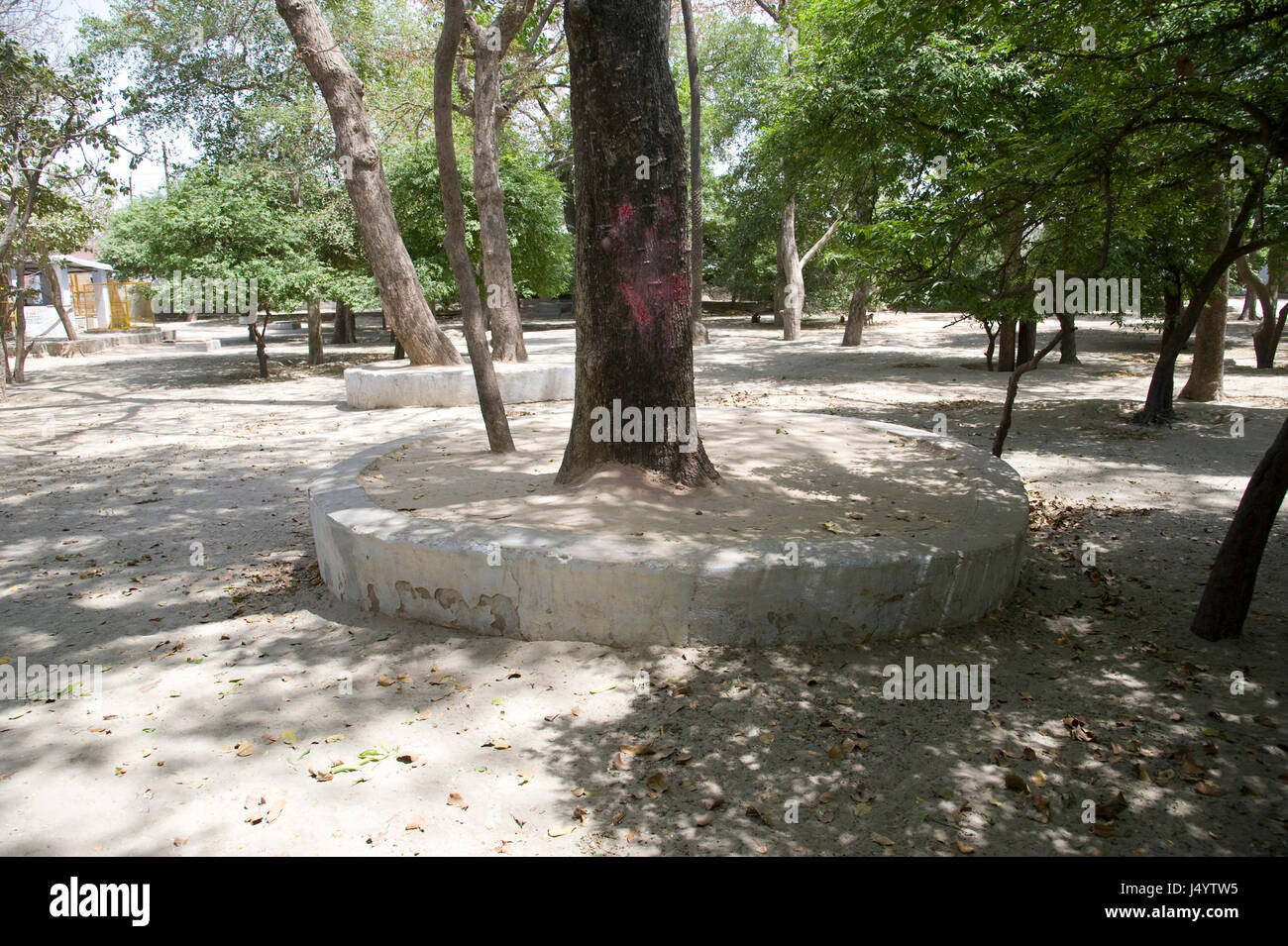 Shree tatiya sthan, mathura, uttar pradesh, india, asia Stock Photo - Alamy