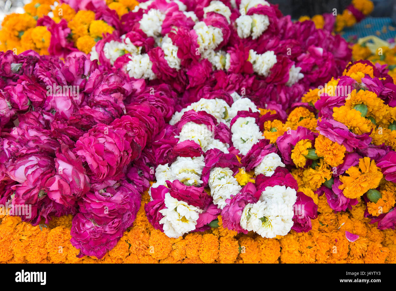 Rangeshwar mahadev temple hi-res stock photography and images - Alamy