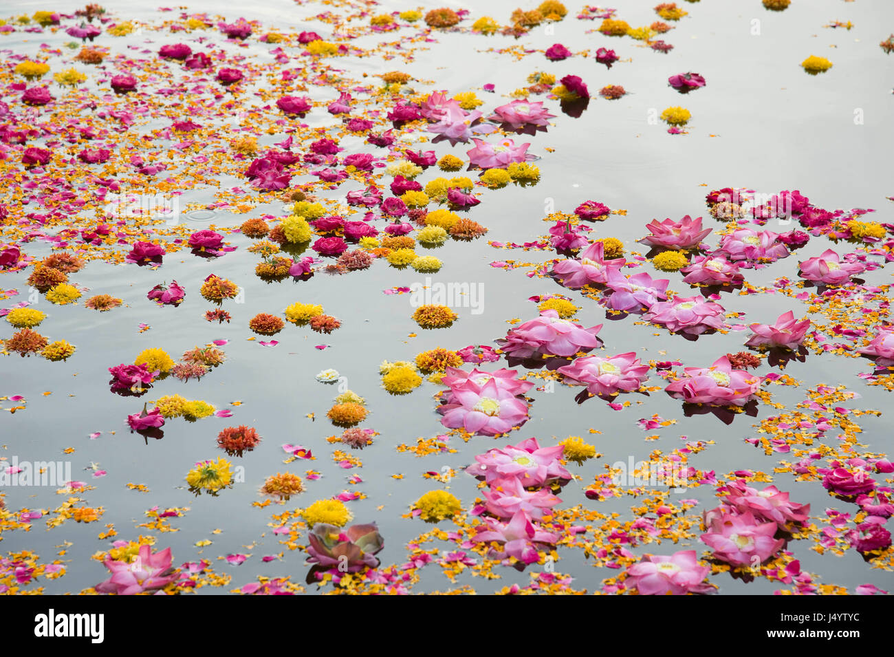 Akm 254257 hi-res stock photography and images - Alamy