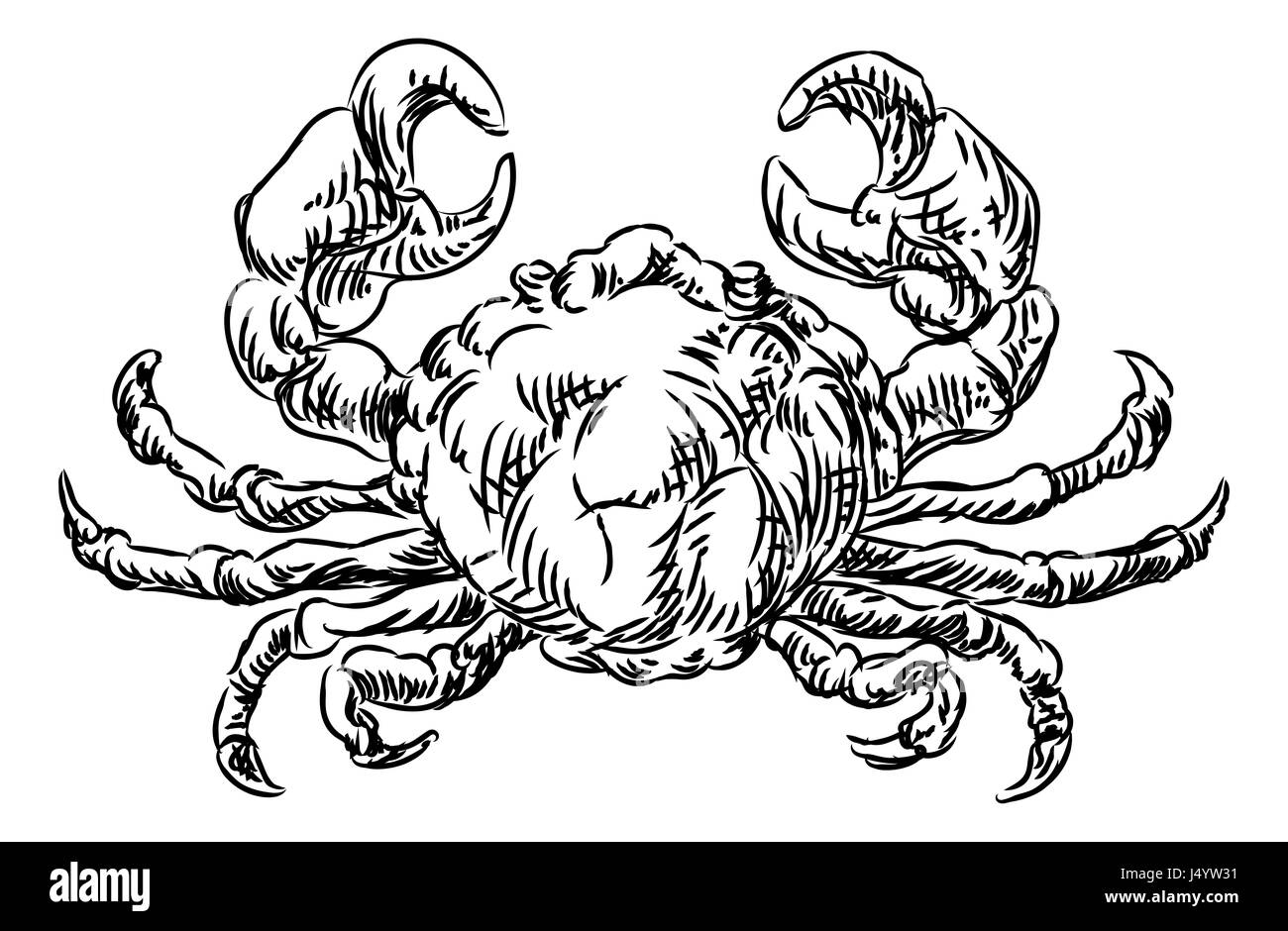 A crab seafood food grunge style hand drawn menu option icon Stock ...