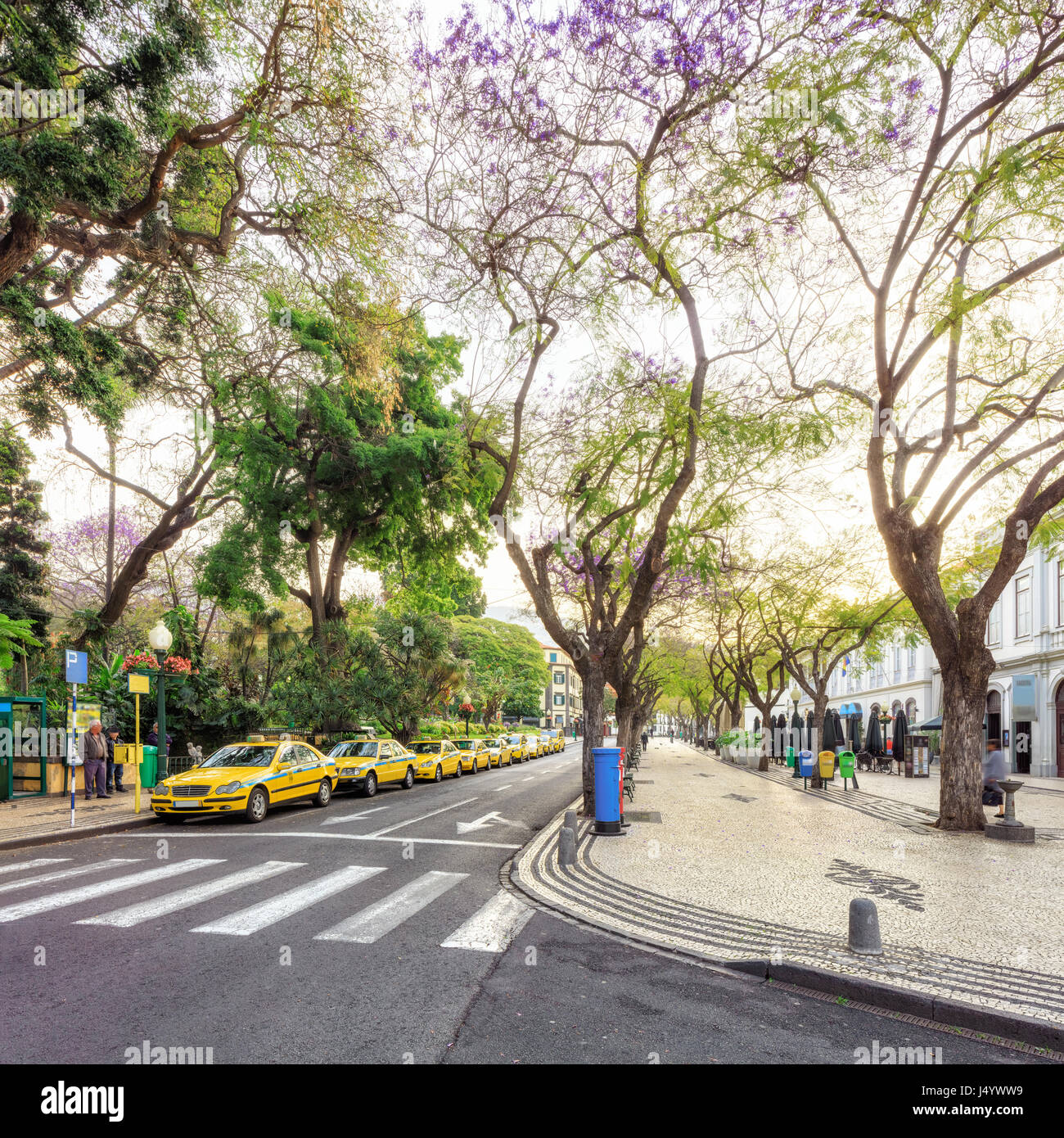 Downtown of Funchal, Madeira Stock Photo - Alamy