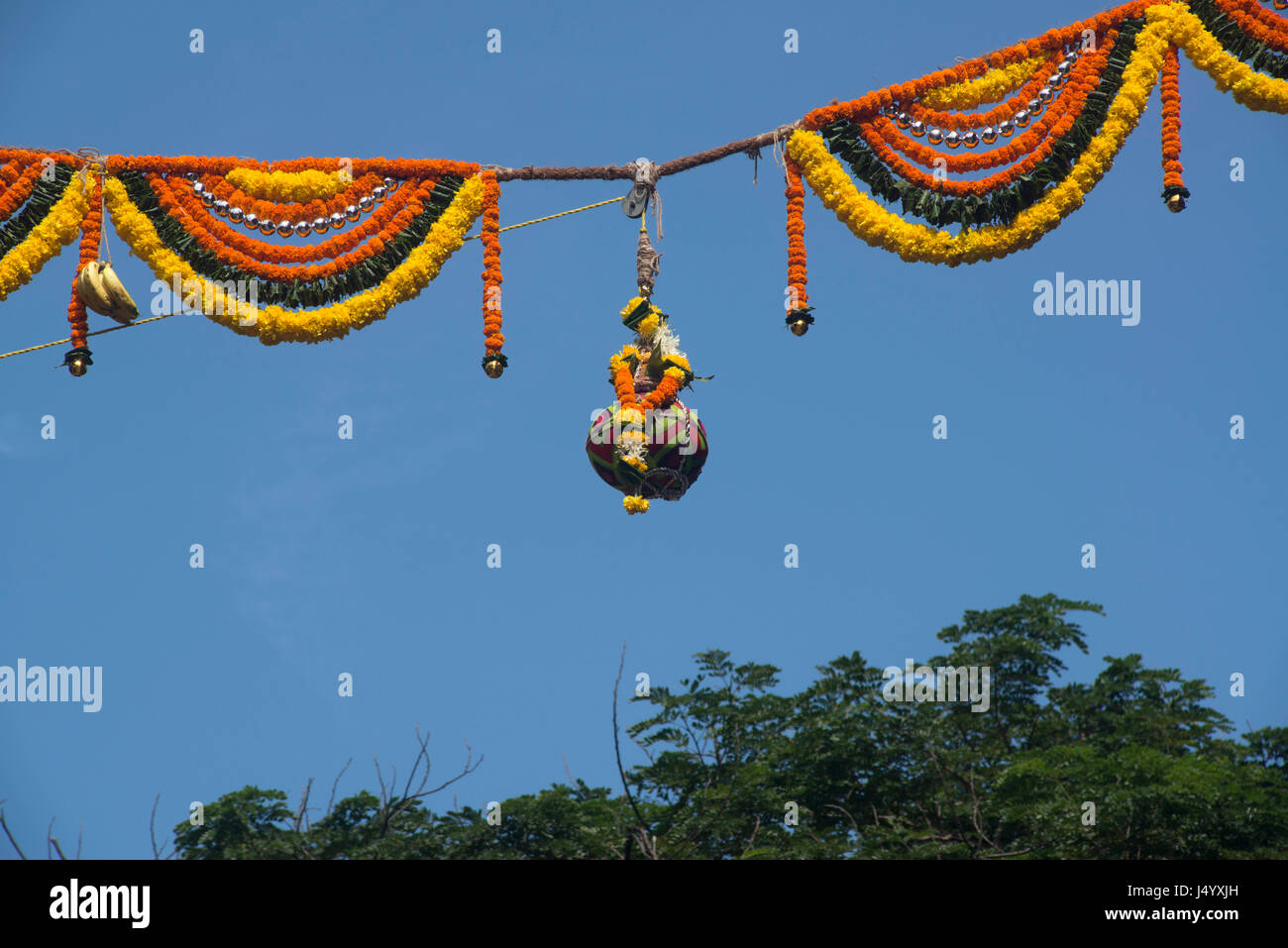 Dahi handi, mumbai, maharashtra, india, asia Stock Photo - Alamy
