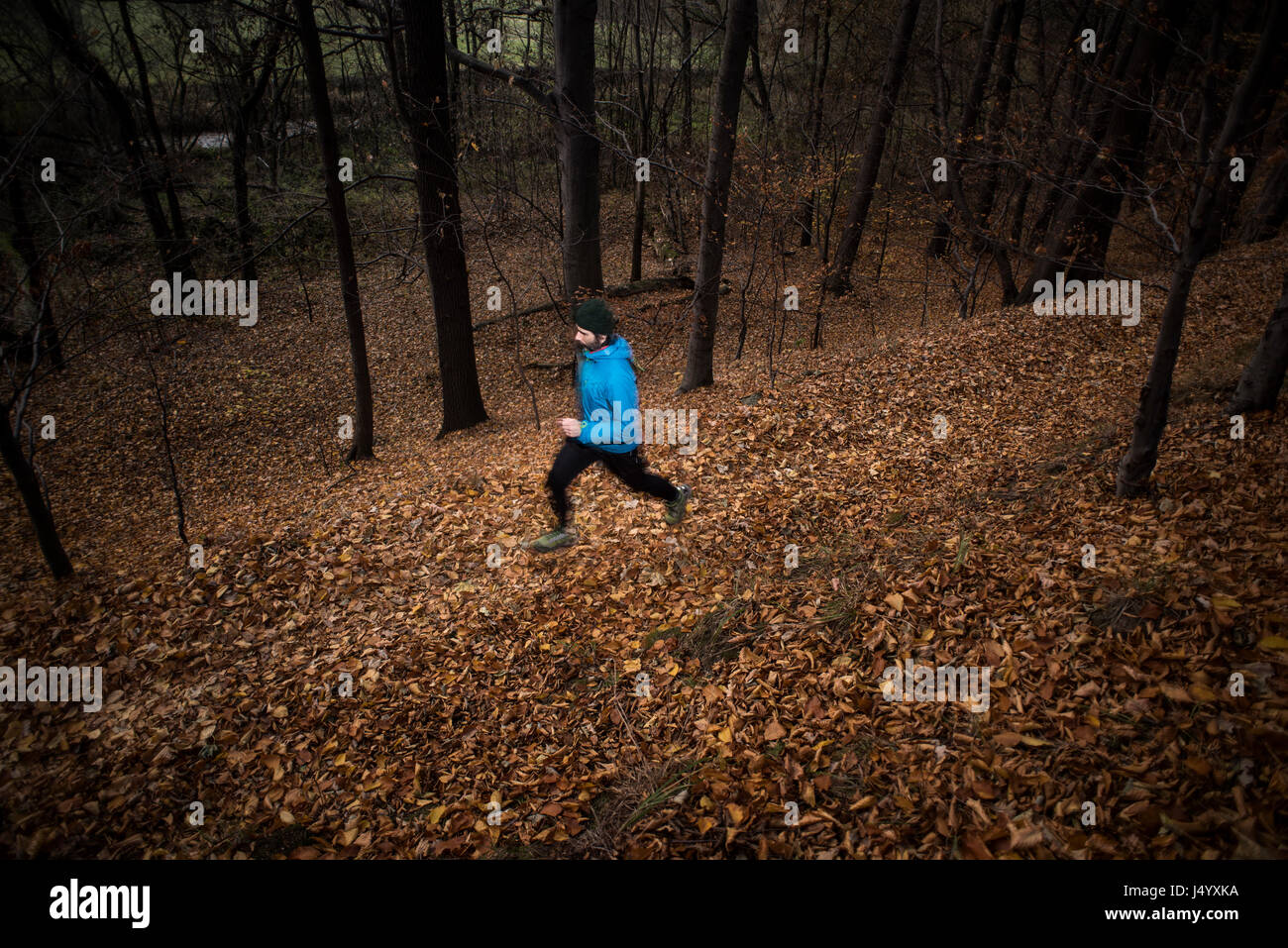 One person forest hi-res stock photography and images - Alamy