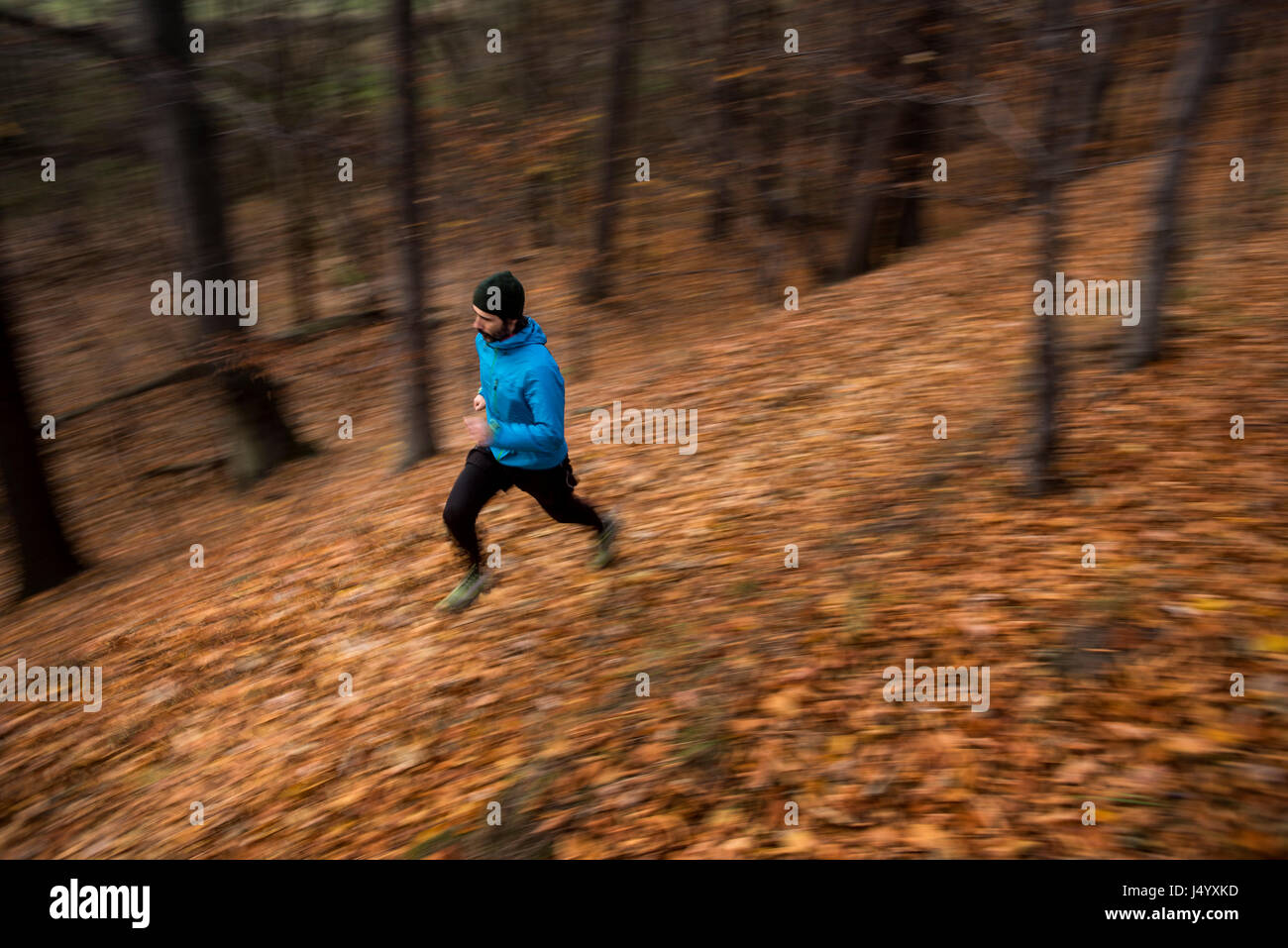 An adult man running in a forest trail in Jelenia Gora, Poland Stock ...