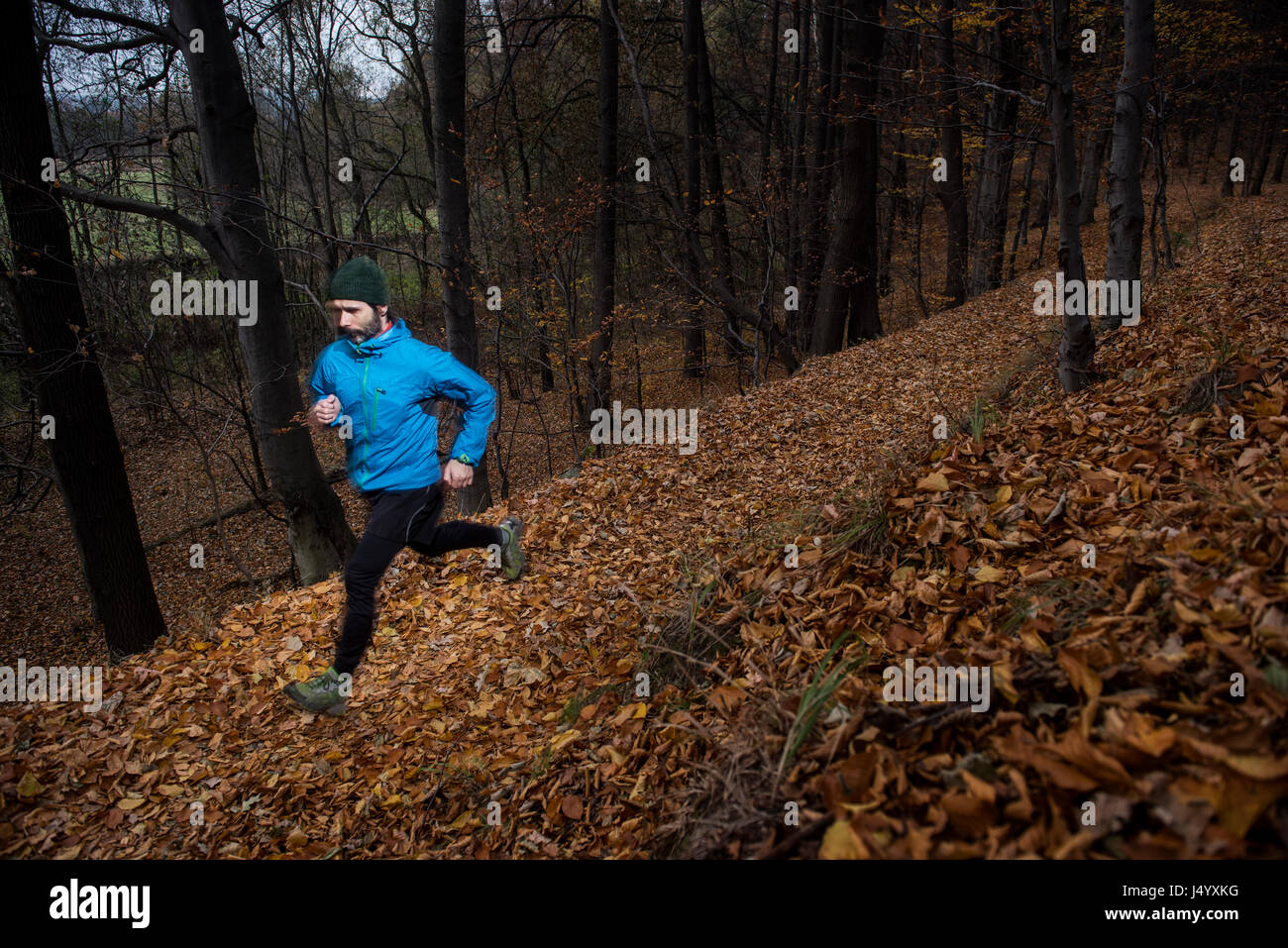 An adult man running in a forest trail in Jelenia Gora, Poland Stock ...