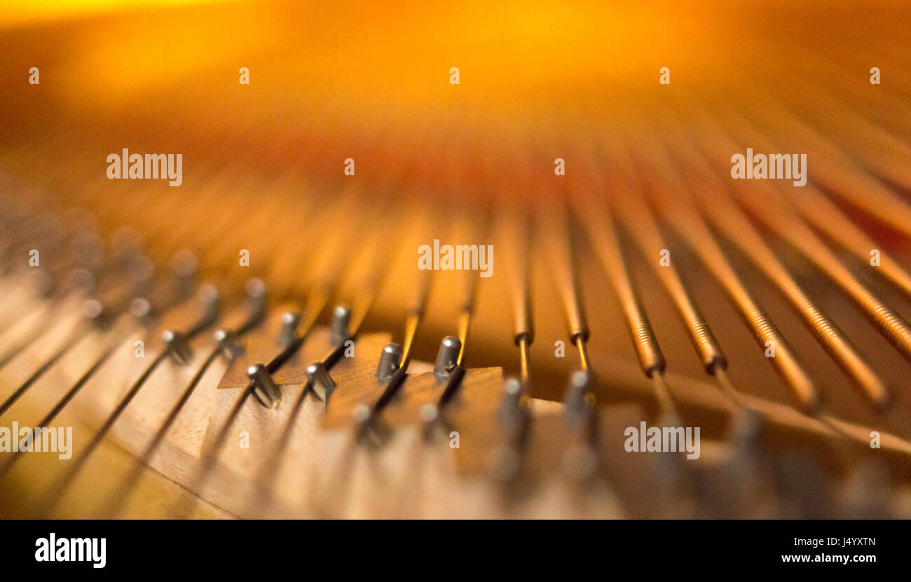Grand piano bridge pins inside the notches, wound strings attached ...
