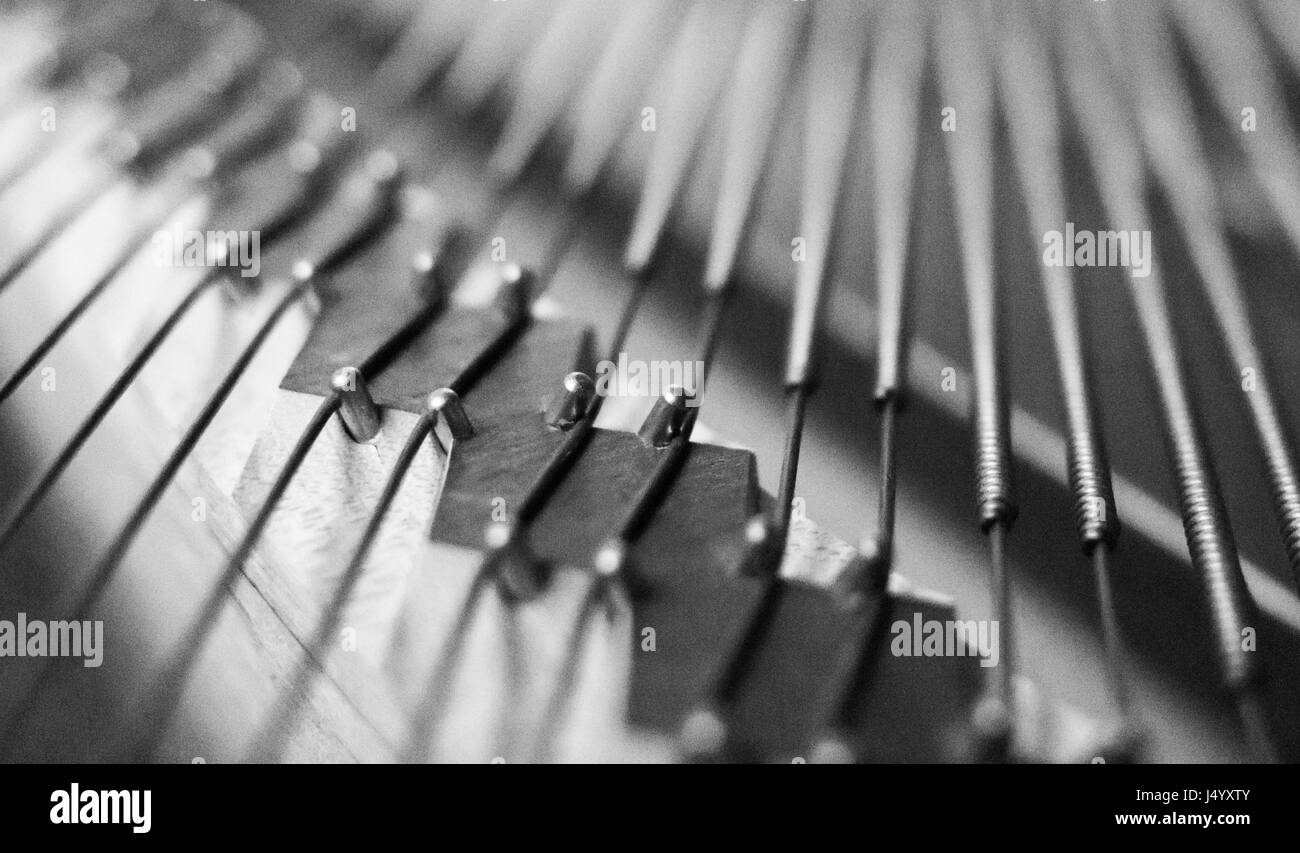 Grand piano bridge pins inside the notches, wound strings attached ...