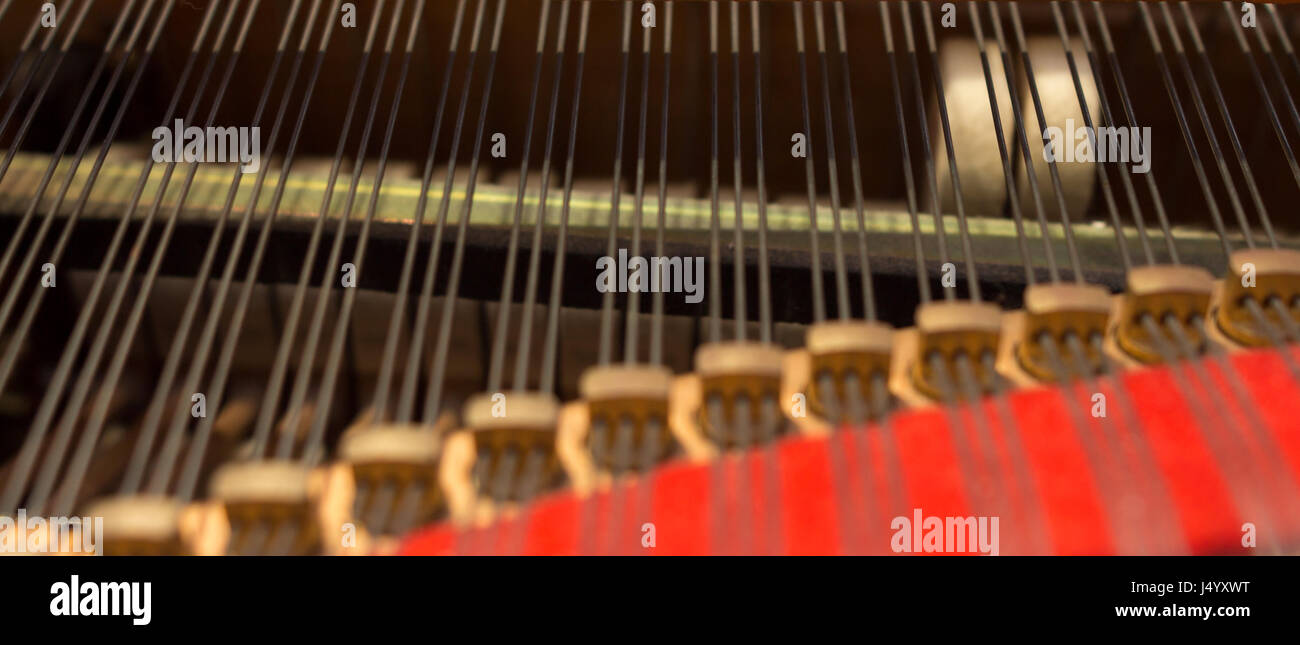 Piano agraffes closeup and two hammer head in action, selective focus ...