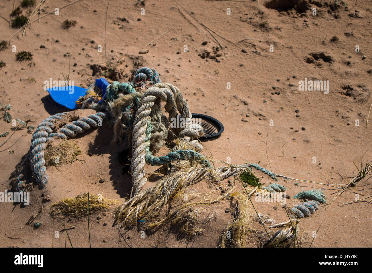 rope washed up Stock Photo - Alamy