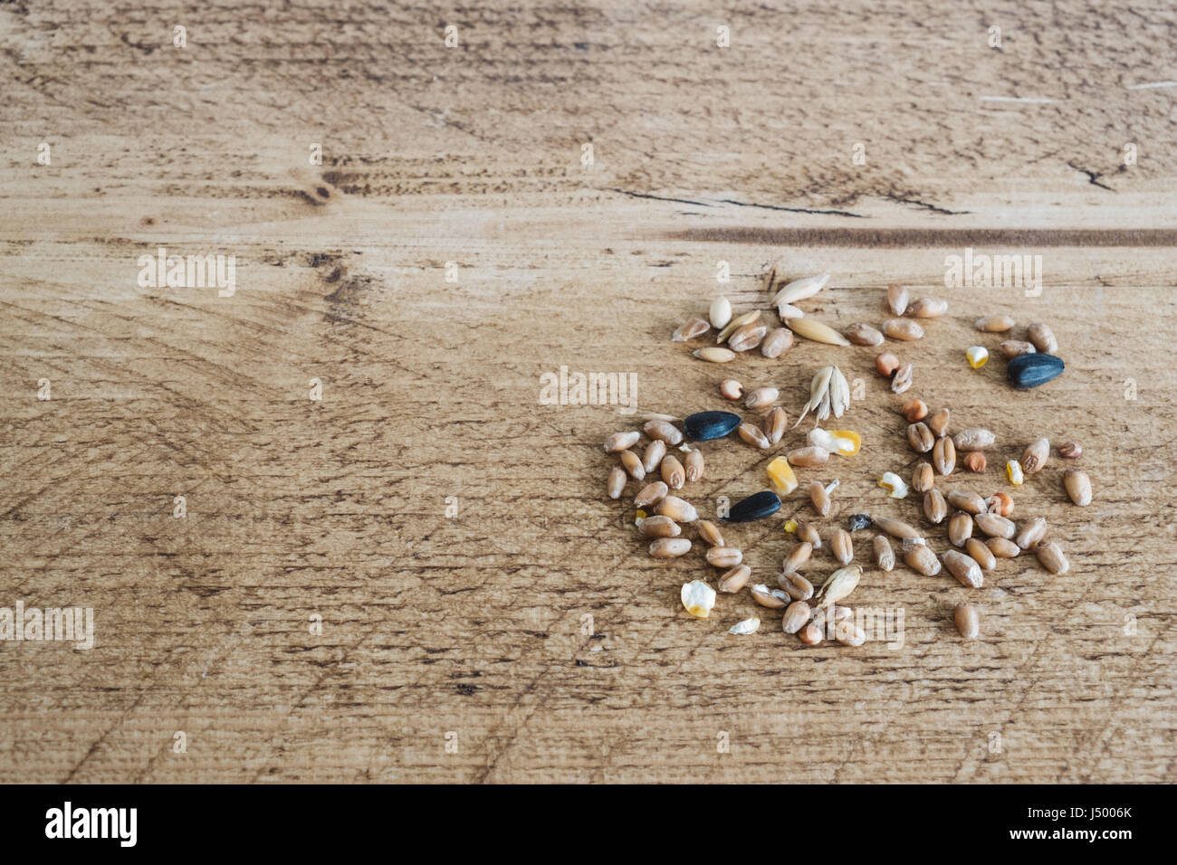 Bird seed sunflower seeds hi-res stock photography and images - Alamy