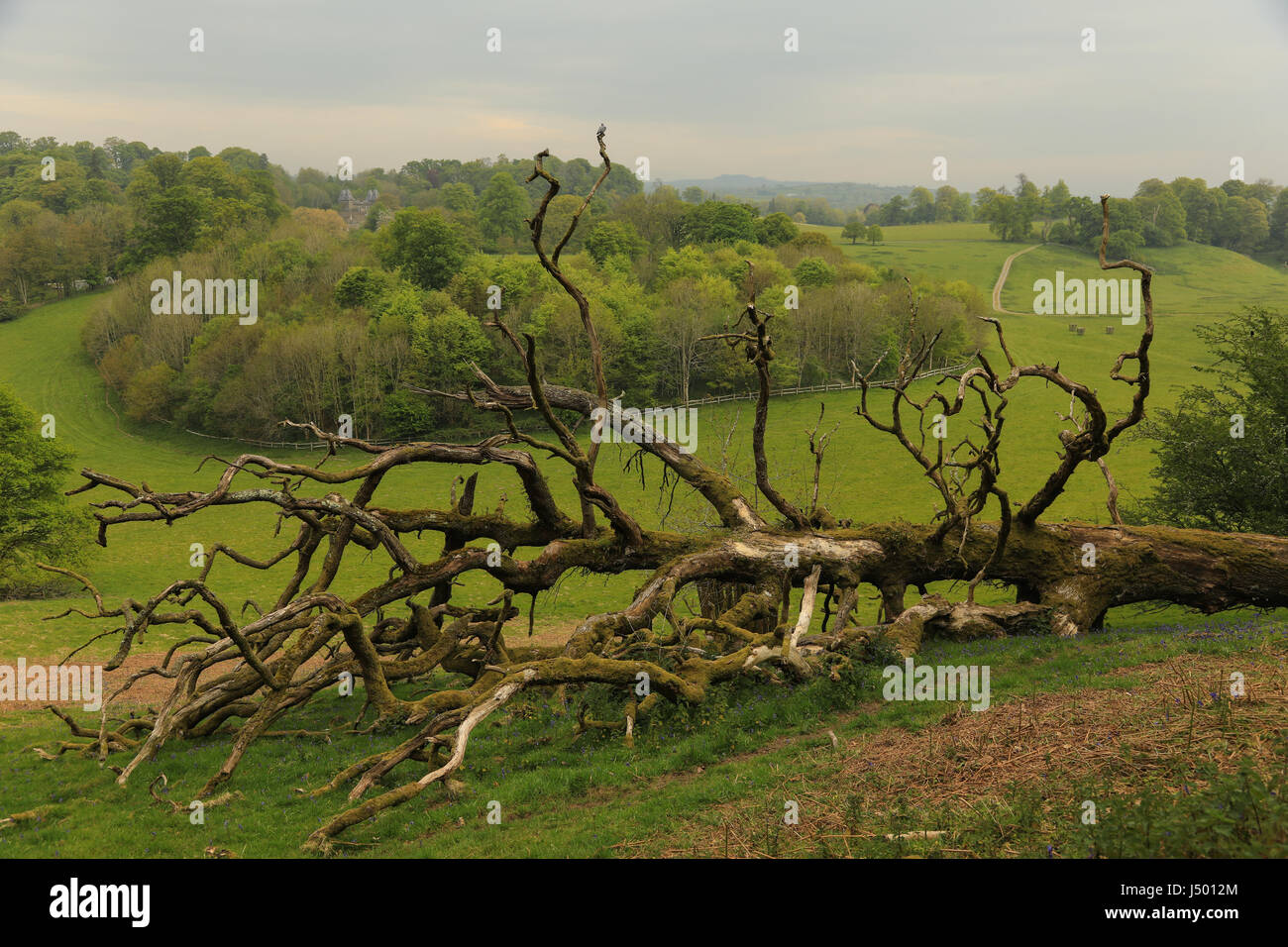 Newton house wales hi-res stock photography and images - Alamy