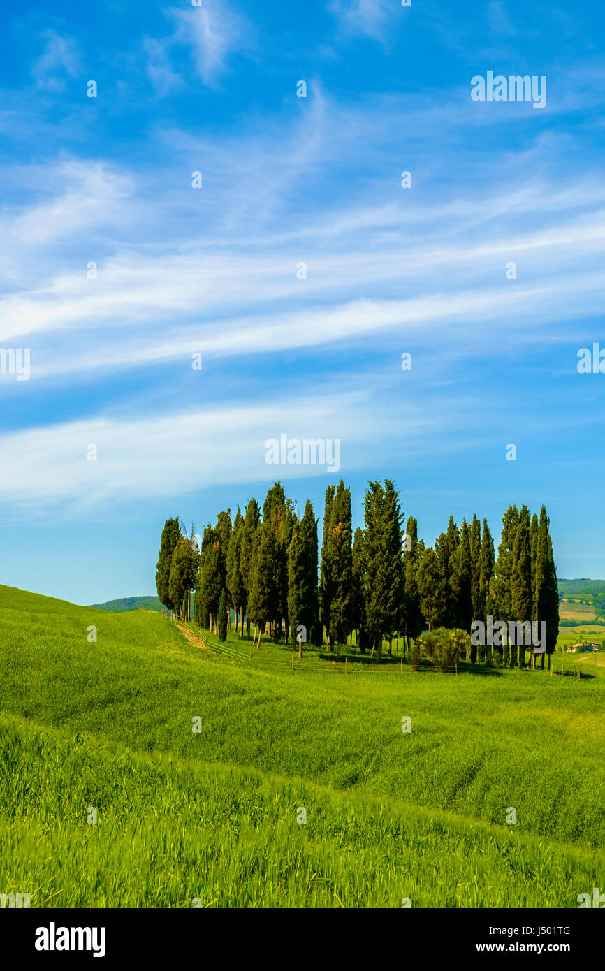 Landscape in Tuscany Italy Europe Stock Photo - Alamy