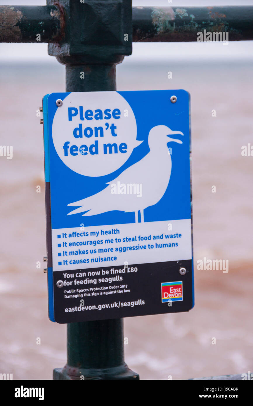 Seagull Warning Sign High Resolution Stock Photography and Images - Alamy