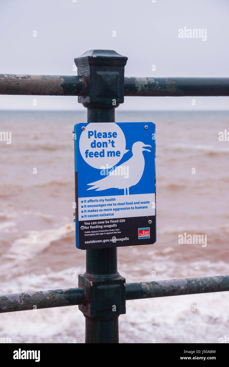 Dont feed the seagulls sign hi-res stock photography and images - Alamy