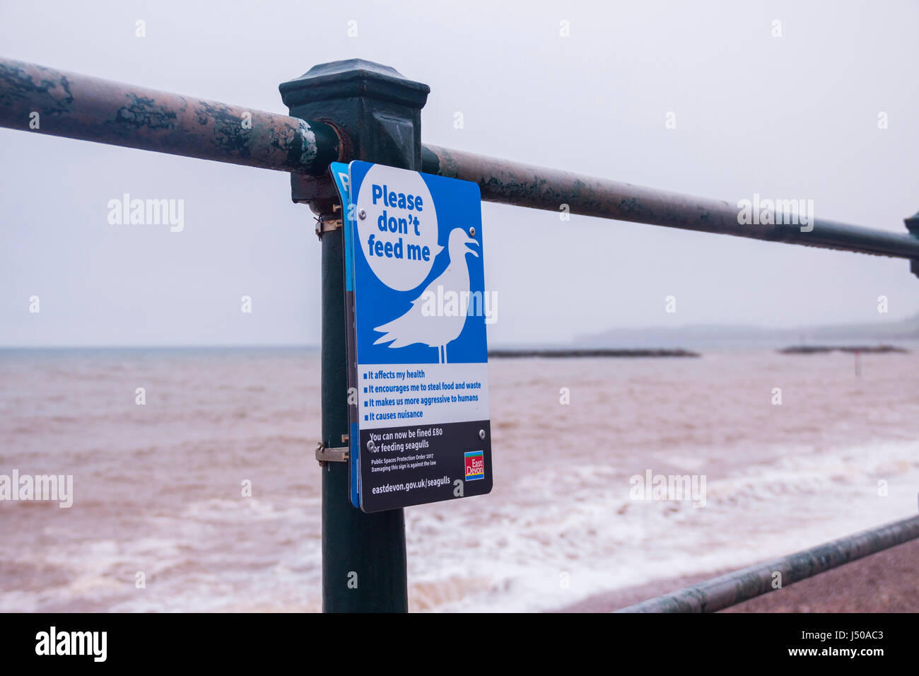 Seagull Warning Sign High Resolution Stock Photography and Images - Alamy