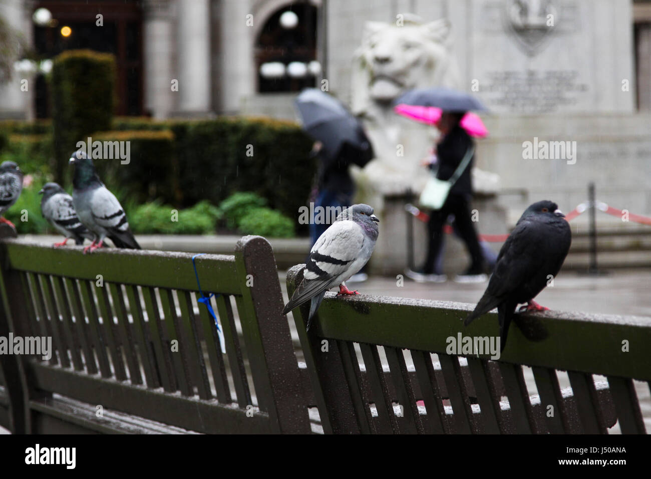 George square glasgow park hi-res stock photography and images - Alamy