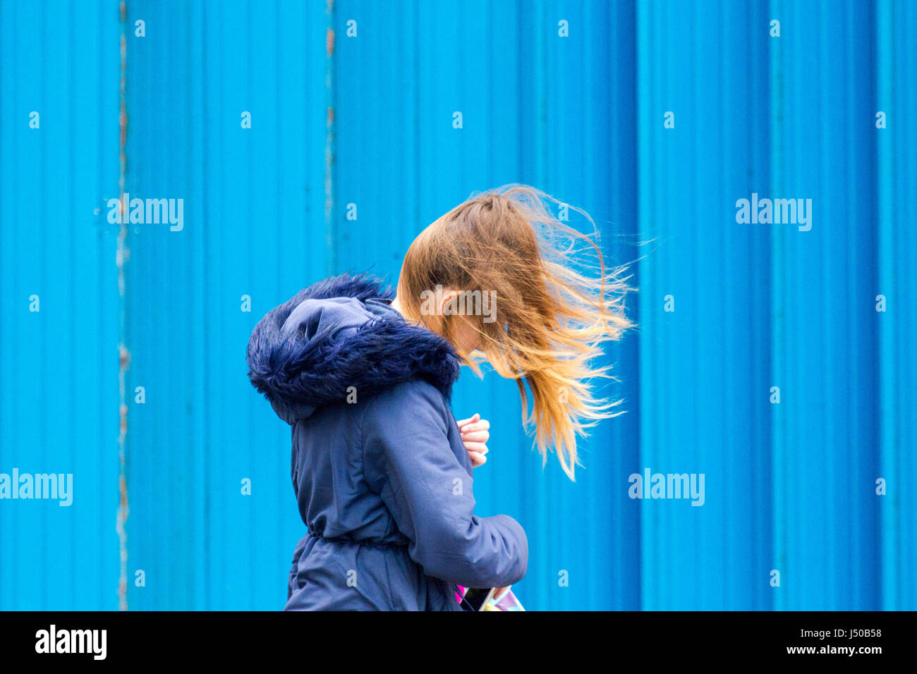 wind,hair,windswept,bad hair day,wind blown hair,long hair,female,face ...