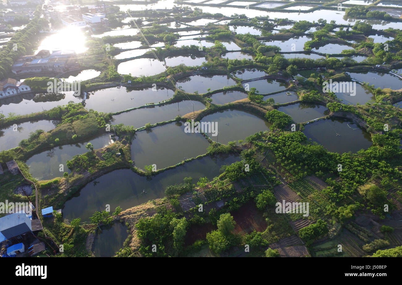 Huzhou. 13th May, 2017. Aerial photo taken on May 13, 2017 shows ...