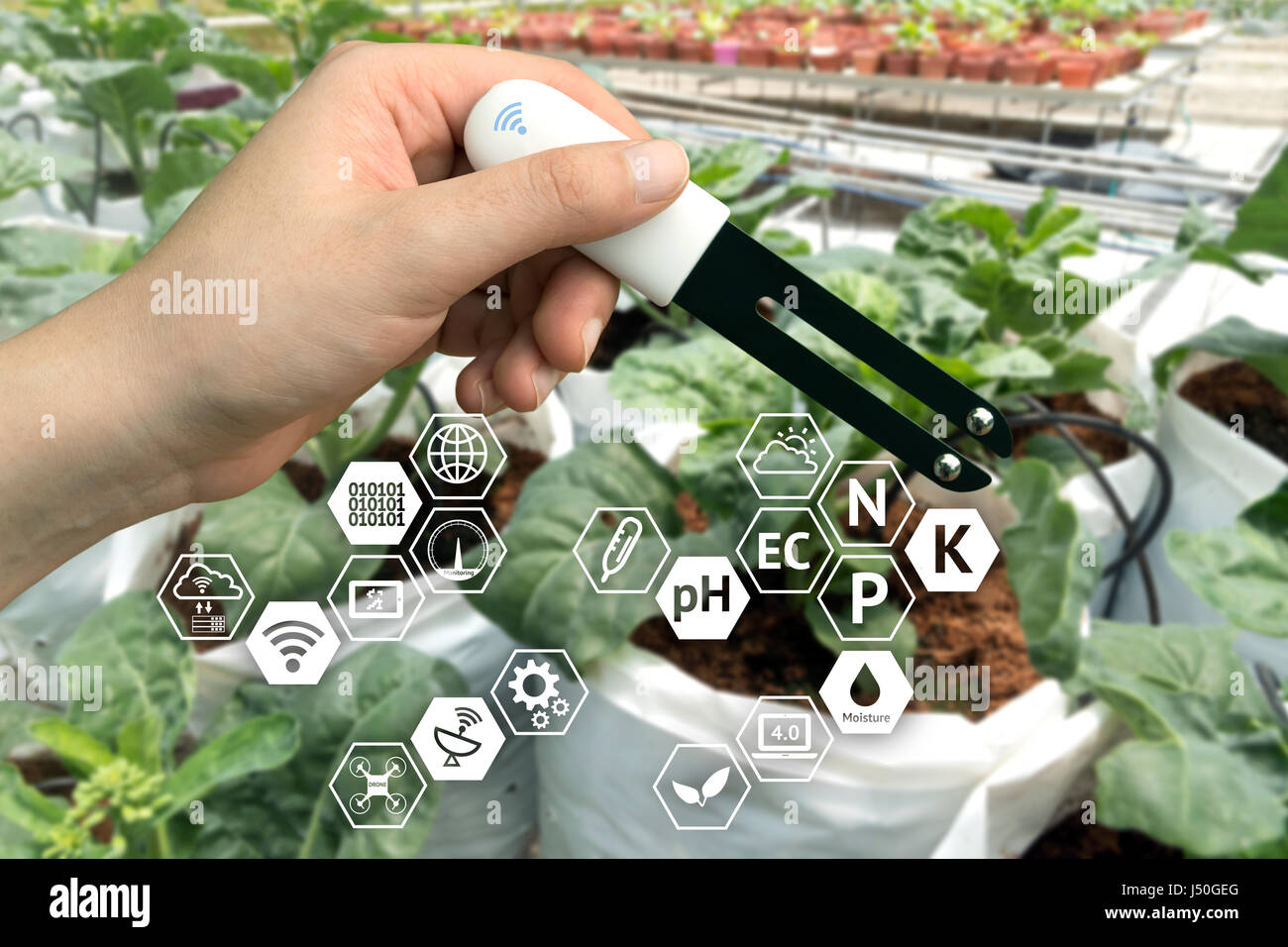 Smart agriculture, sensor concept. Hand holding smart hardware for ...