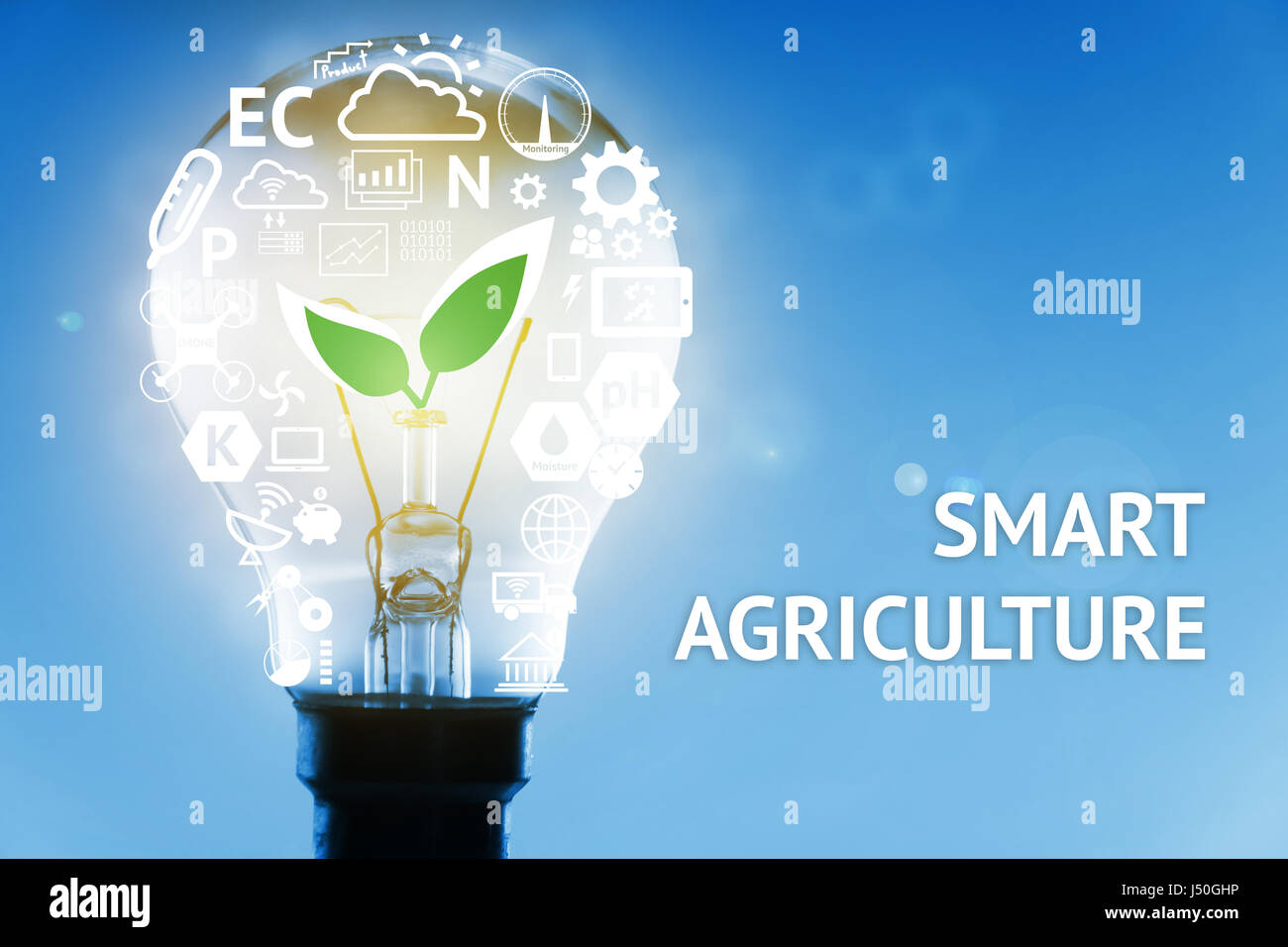 Smart agriculture, sensor concept. Light bulb , plant , moisture, ph ...