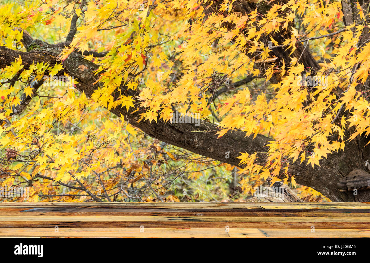 The wood table with nice beautiful background Stock Photo - Alamy