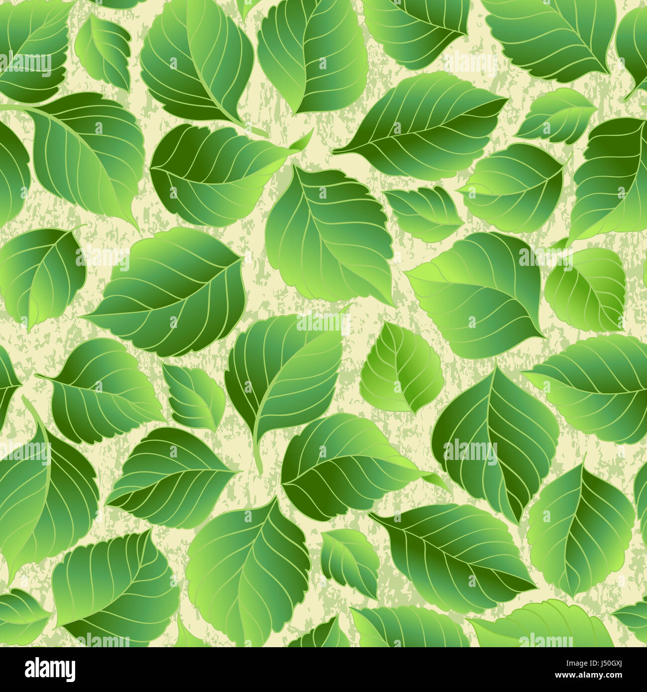 Green leaves, seamless pattern illustration Stock Photo - Alamy