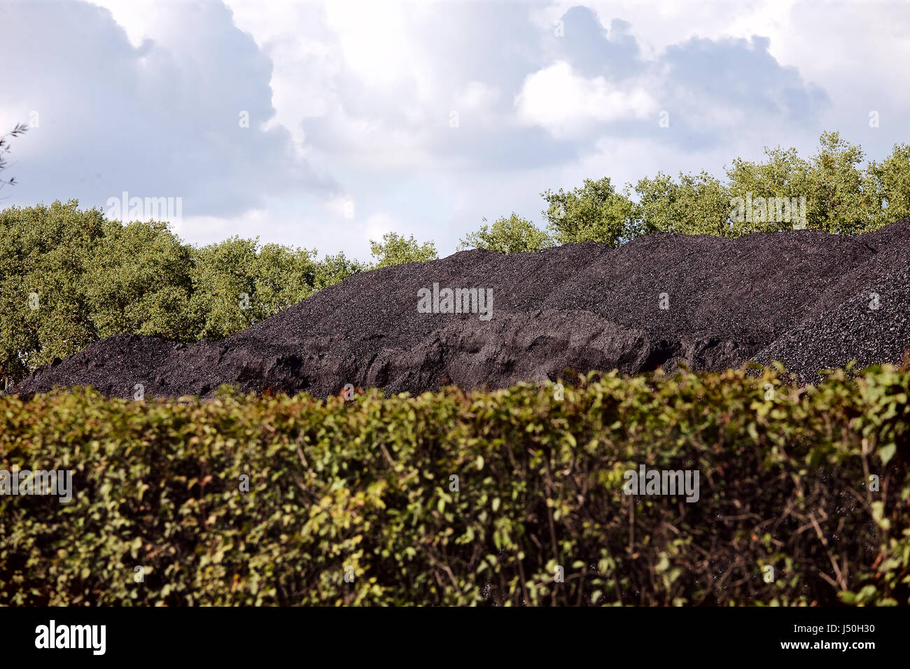 heap of coal among the trees Stock Photo - Alamy