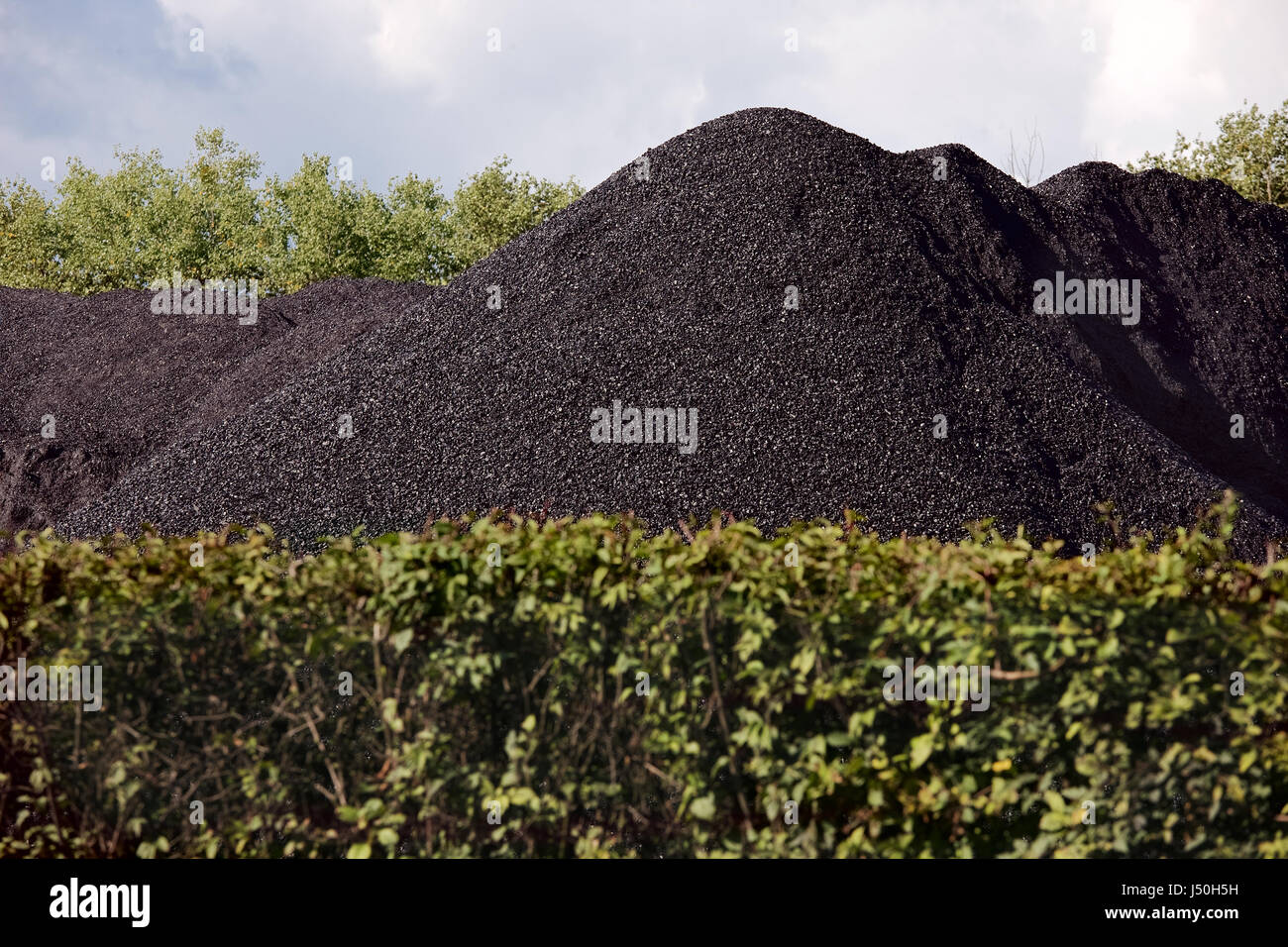 heap of coal among the trees Stock Photo - Alamy