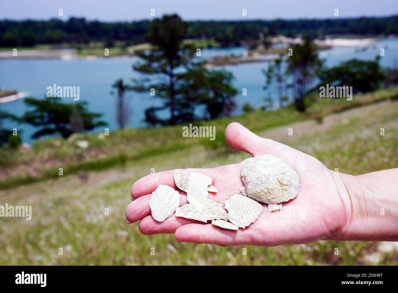 Alabama,St. Stephens,St. Stephens historic Site,former quarry,fossils ...