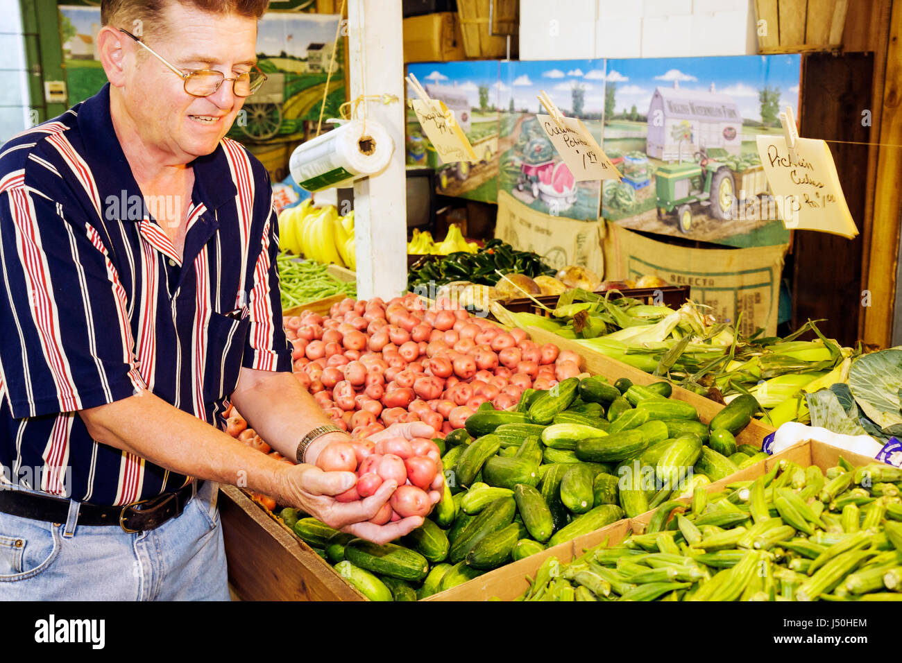 Alabama,Thomasville,locally grown produce,stand,display case sale,man ...