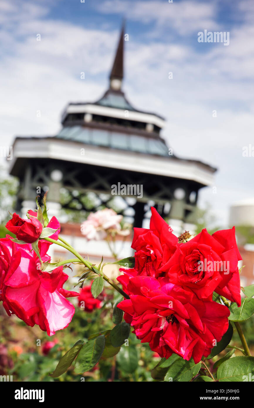 Monroeville Alabama,Courthouse rose garden,gazebo,red,flower flowers ...